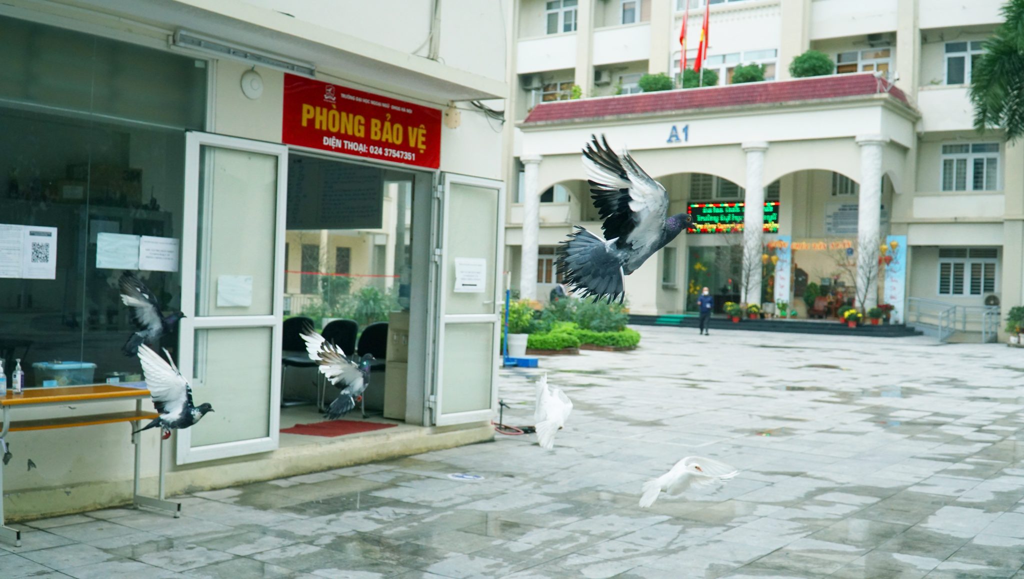 Trong lòng ULIS là cả một thế giới tươi đẹp như thế này đây! – Trường ...