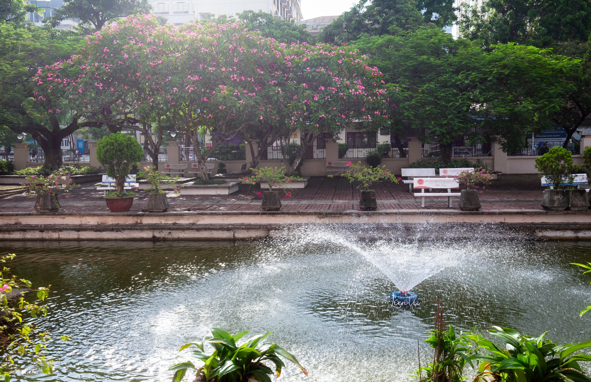 [Ảnh] ULIS những ngày mùa thu – Trường Đại học Ngoại ngữ – Đại học Quốc ...