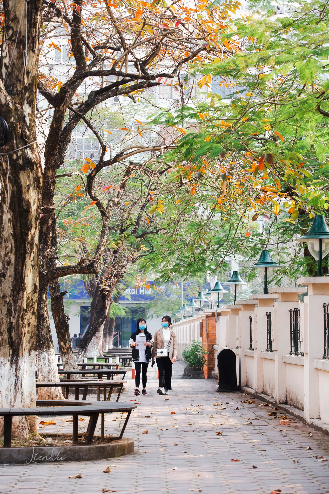 [Ảnh] ULIS những ngày mùa thu – Trường Đại học Ngoại ngữ – Đại học Quốc ...